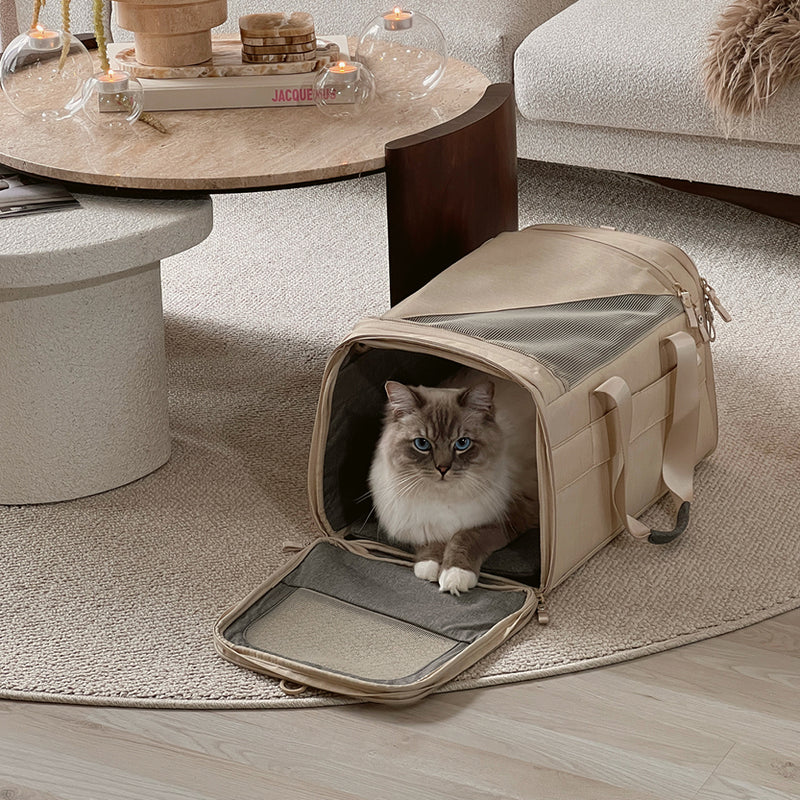 Wie viel Leben haben Katzen? Mythen, Zahlen & Kulturen erklärt - LucyBalu