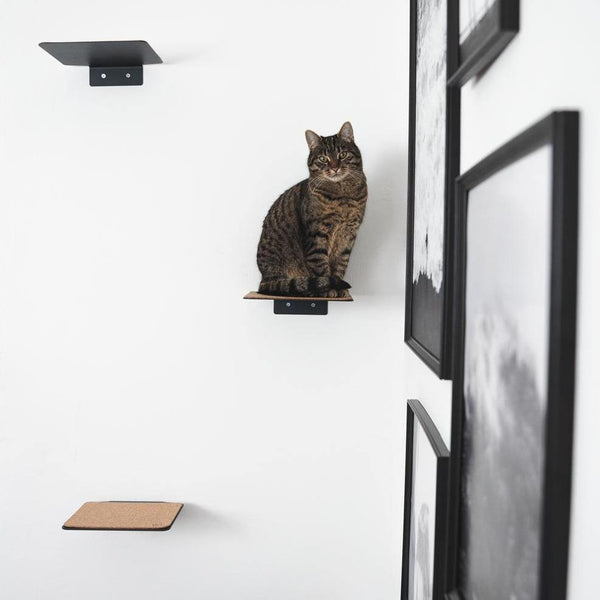 Alle Produkte von LucyBalu gibt es nur im LucyBalu Webshop